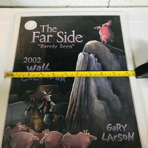 Other | 202 The Far Side Wall Calendar Rarely Seen | Poshmark